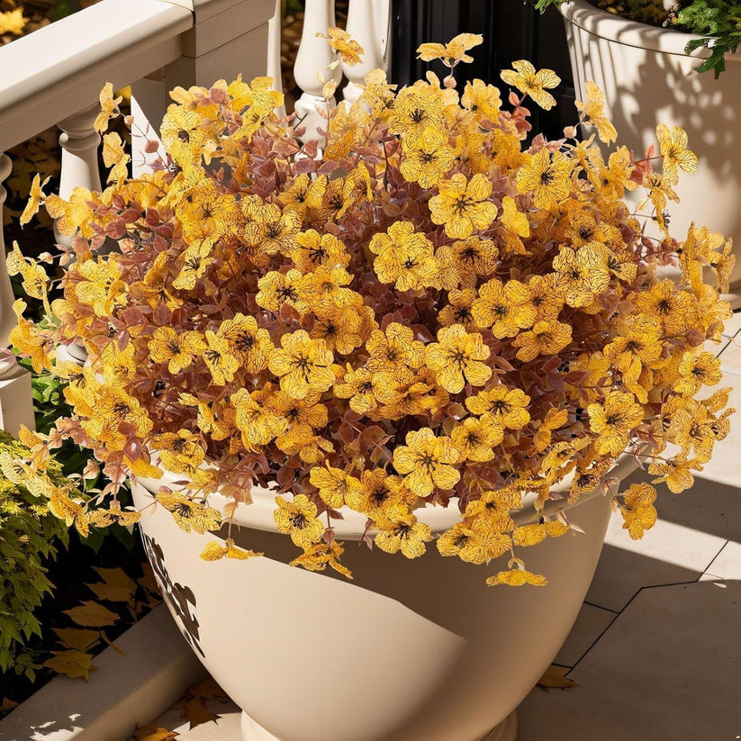 AutumnGlow Mums - A Perfect Fall Porch, Guaranteed + 50% OFF – Odessa